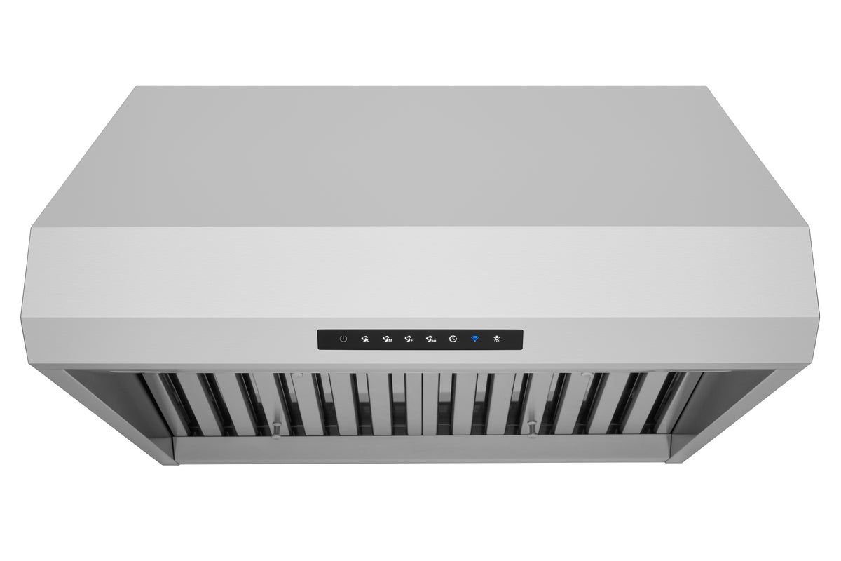 30" Range Hood